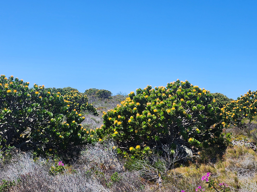 20241111 133434 — Postimages