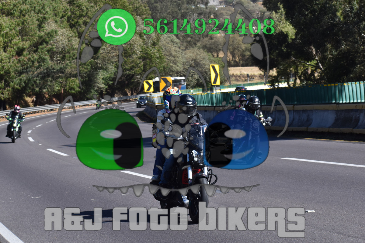 AVQ 6431 — Postimages