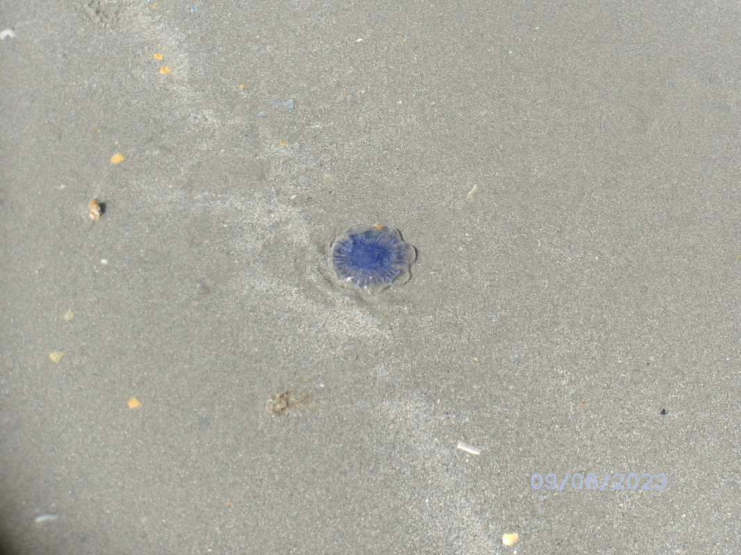 BILD000010 — Postimages