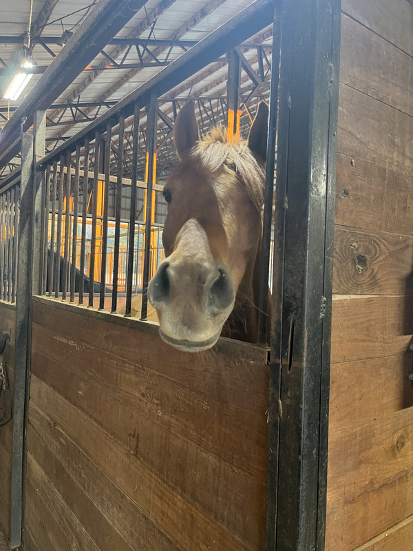 IMG 5674 — Postimages