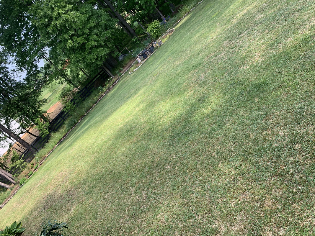 IMG 0352 — Postimages