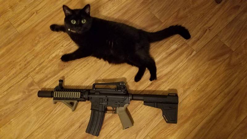 MICRO AR PISTOLS ** PHOTOS & DISCUSSIONS > AR Pistols > AR15.COM