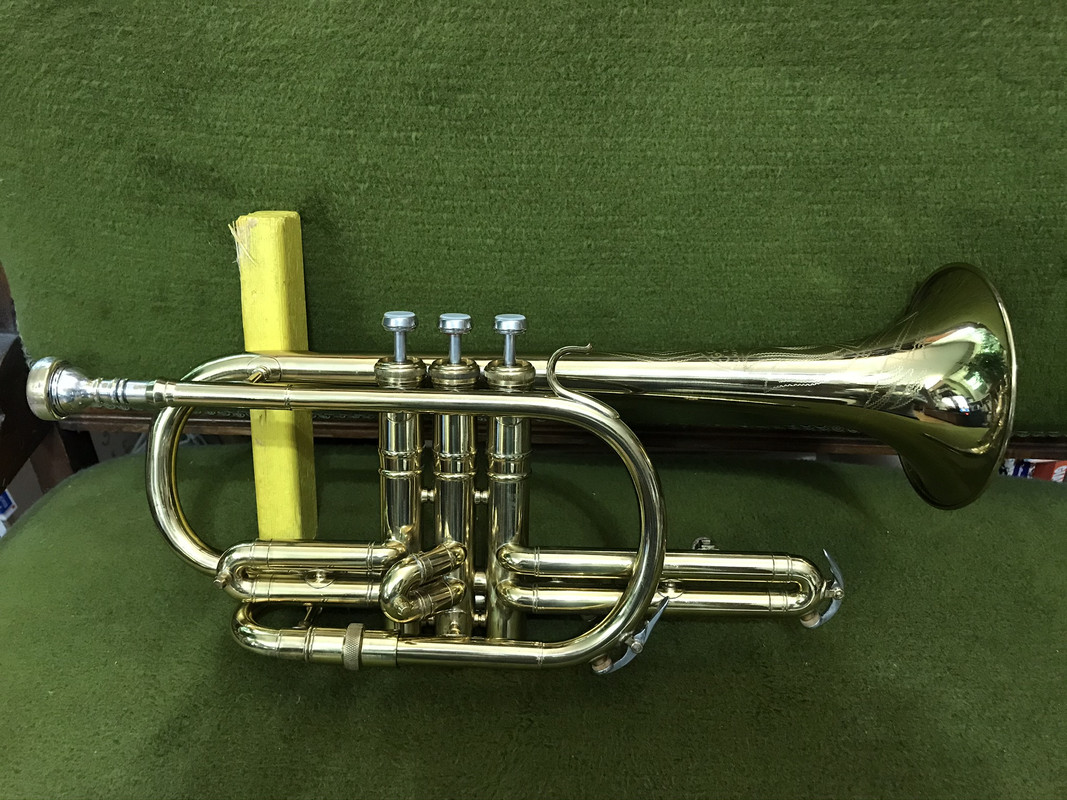 IMG 3313 — Postimages