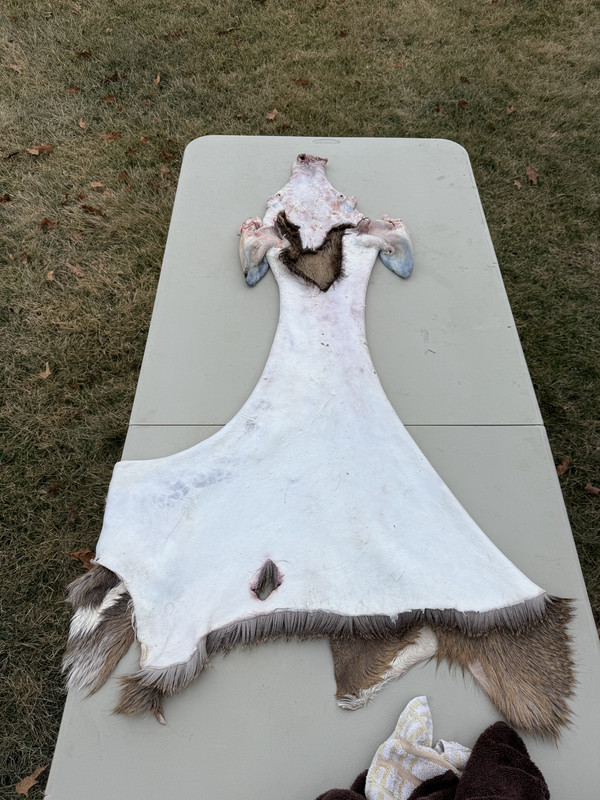 IMG 0437 — Postimages