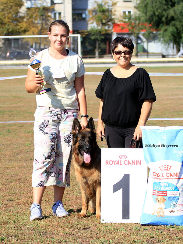 IMG 6336 — Postimages