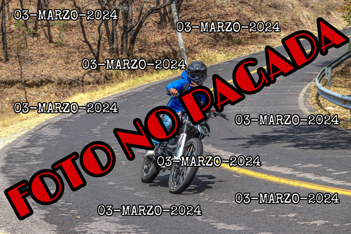 CA 1442 — Postimages