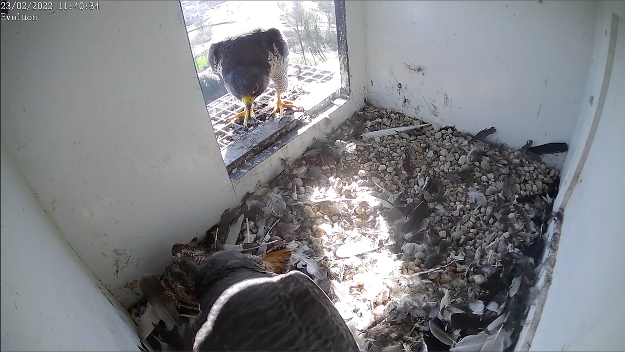 2022 02 23 11 41 22 Window — Postimages