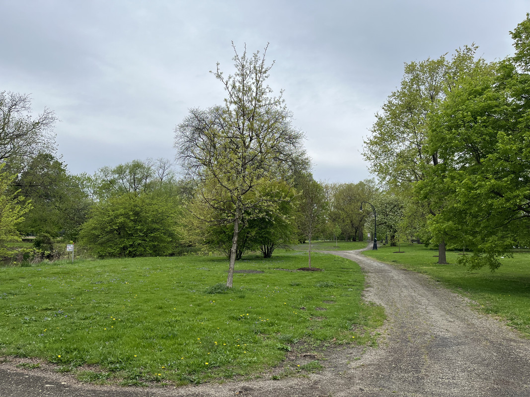 IMG 0277 — Postimages