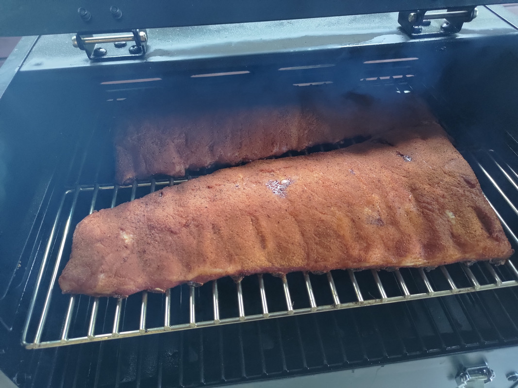 Oh NO I burned my ribs, Oh please help me WHY did I burn my ribs ...