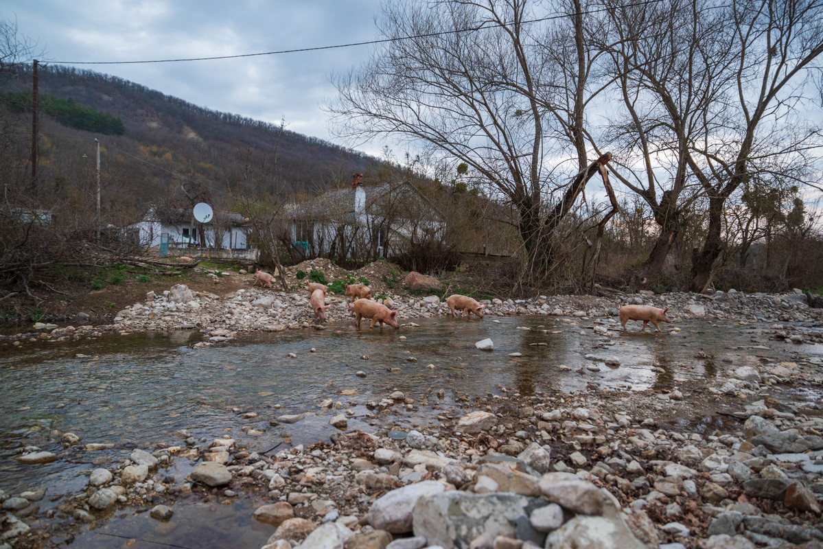 V0001088 1600 — Postimages