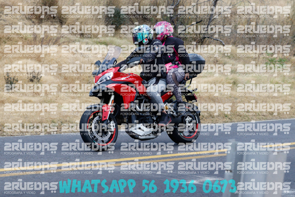 MG 1197 — Postimages