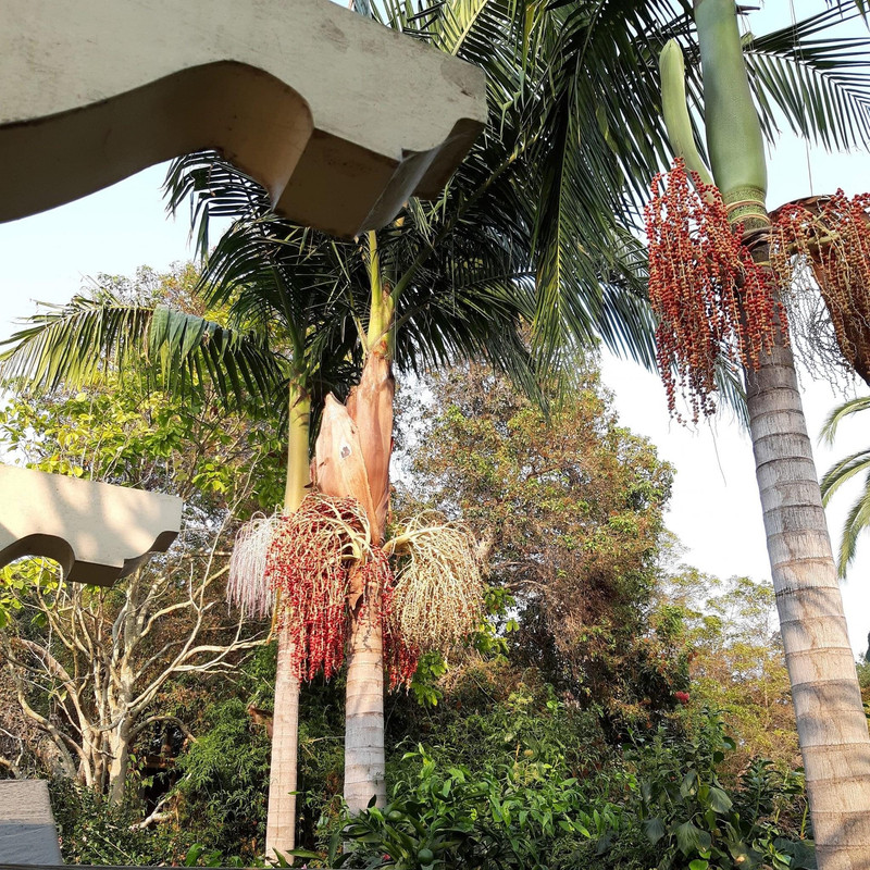 7144 B6 E5 4563 4681 B7 A0 B03 A2 FEDEF60 — Postimages