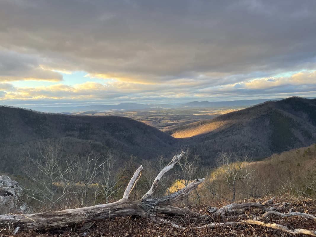 Went fer a - 24hourcampfire