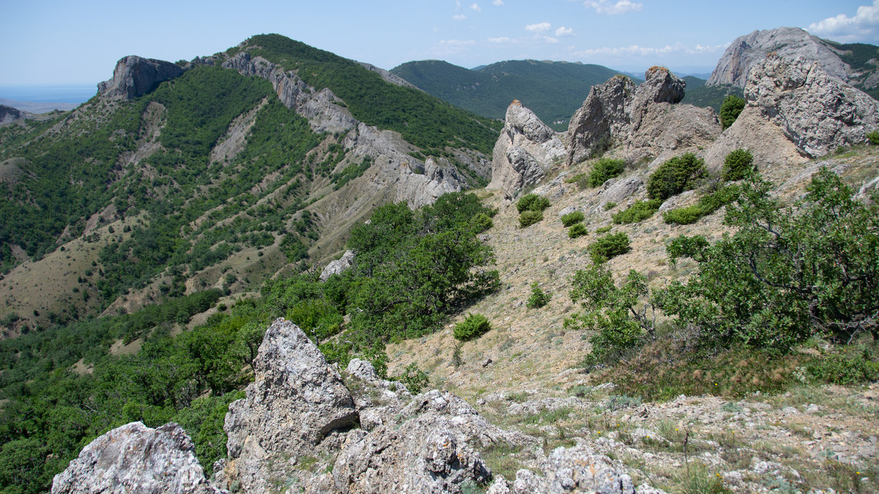 DSC 3964 — Postimages