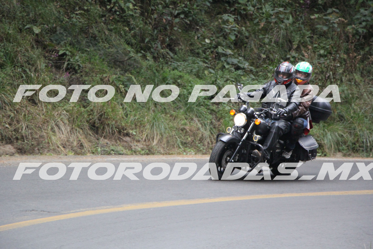 IMG 1729 — Postimages