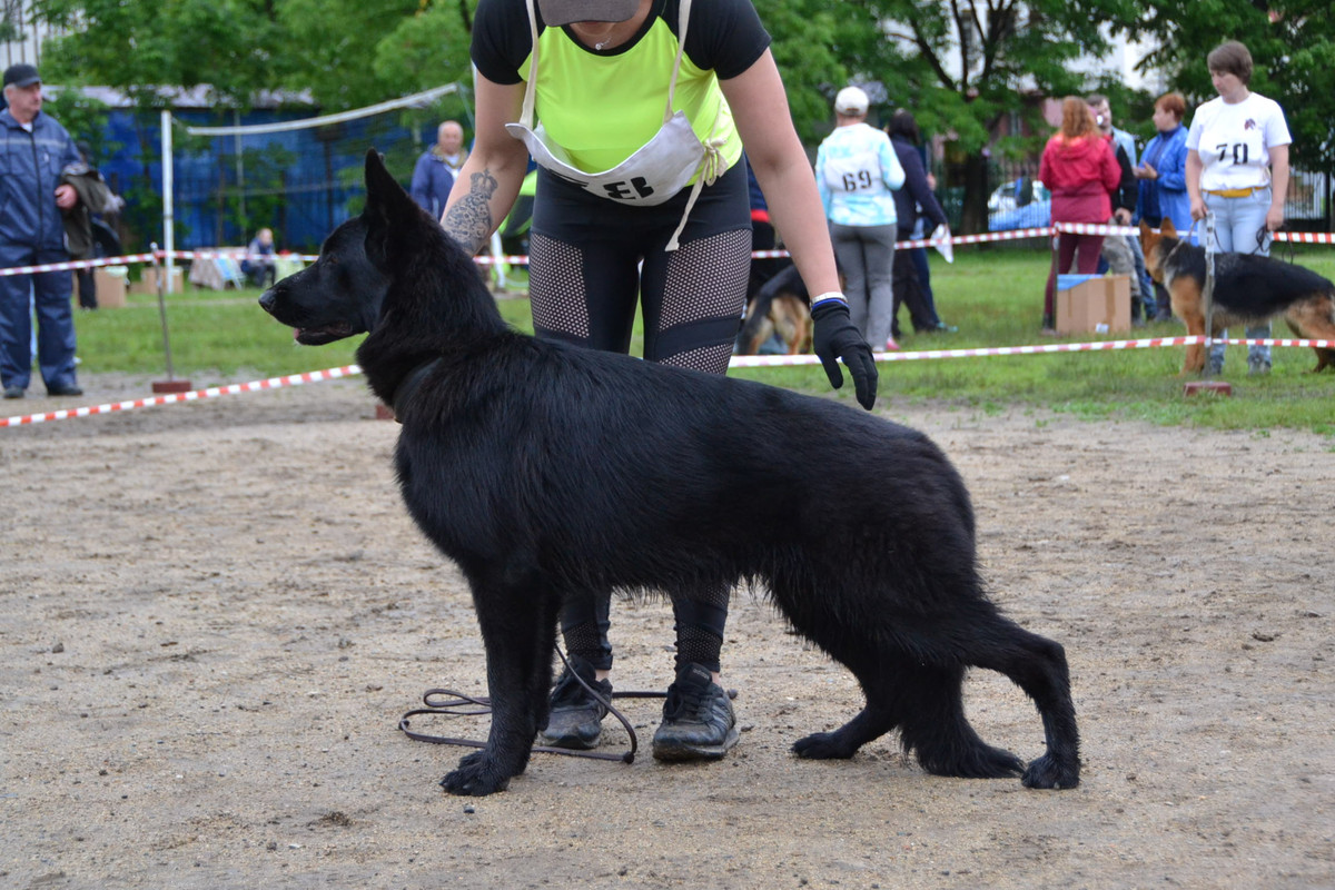 DSC 0231 — Postimages