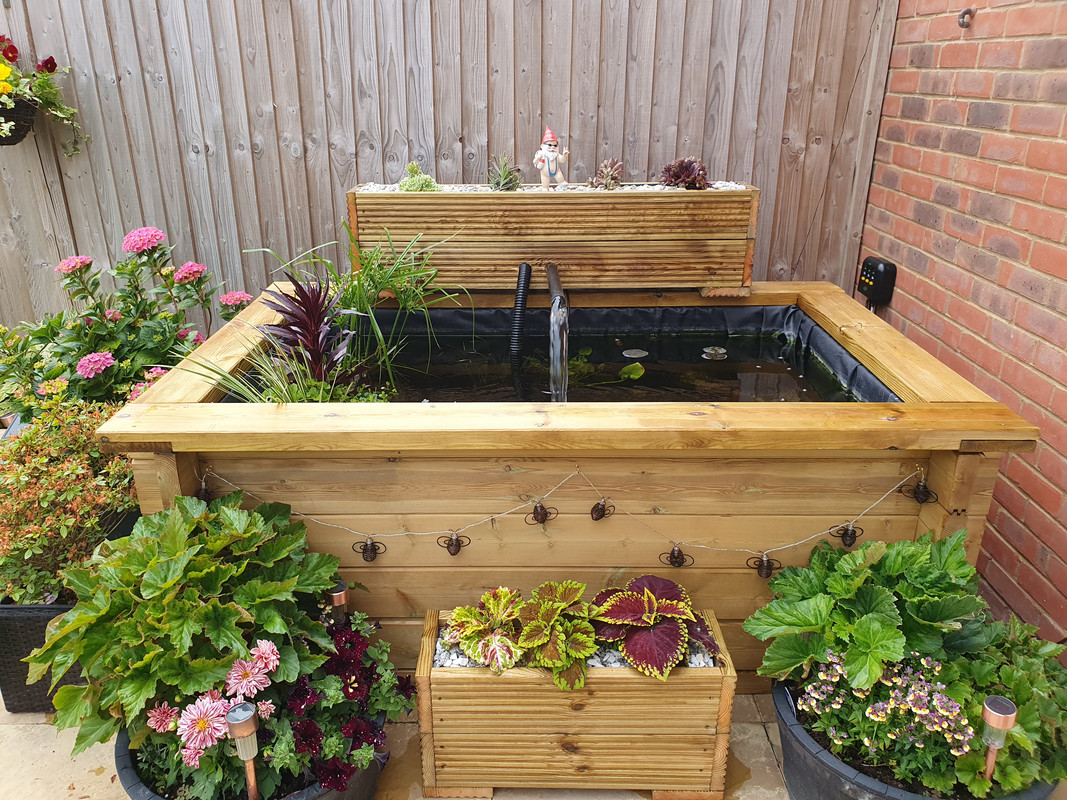 Garden Timber Company Raised pond - Your Pond Forum - Pond Life
