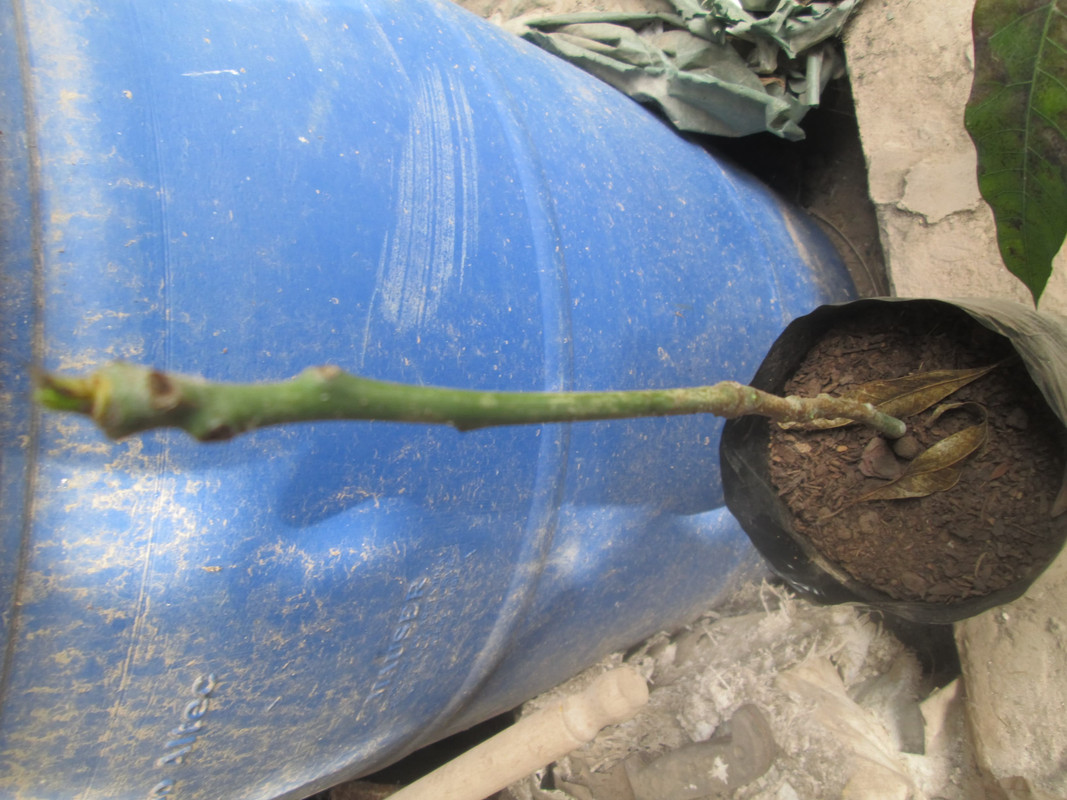 IMG 3278 — Postimages