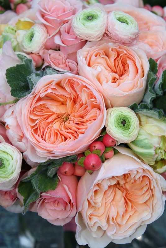 3e5c96f10857bf8796f79b0a87da3915 — Postimages