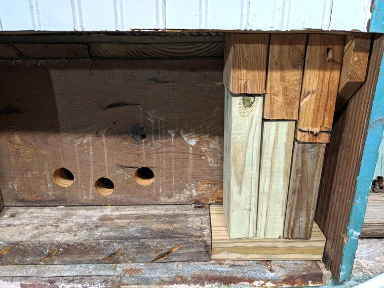Repairing rotted bottom plate and heels of triple studs | DIY Home ...