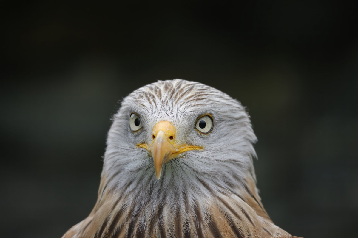 MG 3406 topaz denoise enhance sharpen — Postimages