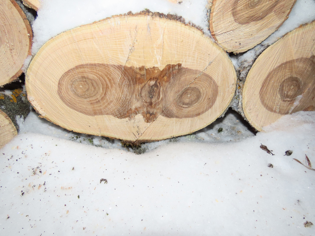 IMG 0194 — Postimages