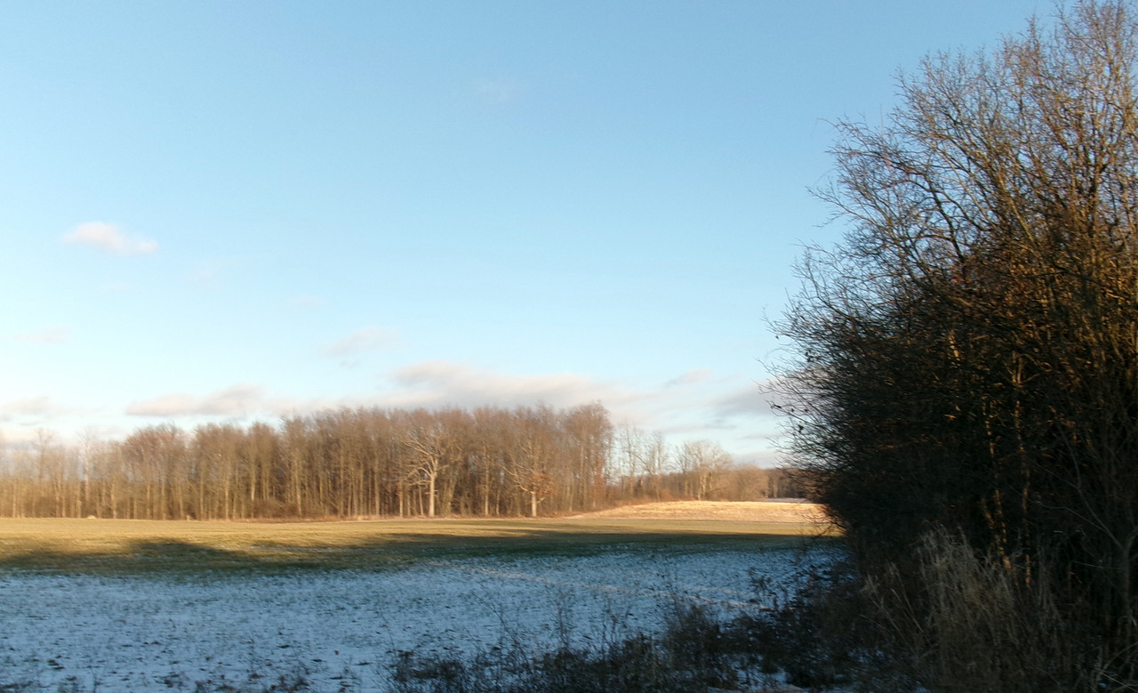 RunningAHEAD - Topic: Jumping January