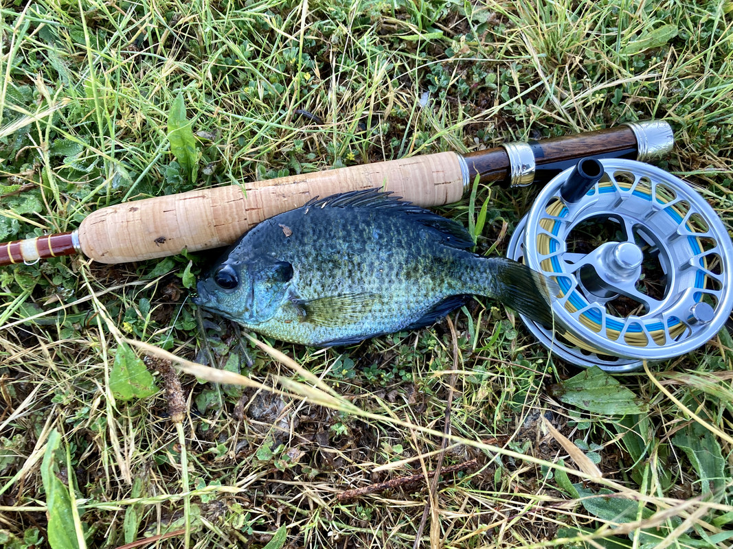 05 FC041 A 5 FAF 43 A8 9 ABF C4 C8273 A38 BB — Postimages