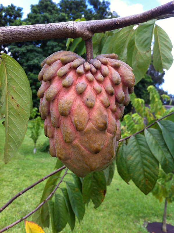 IMG 1190 — Postimages