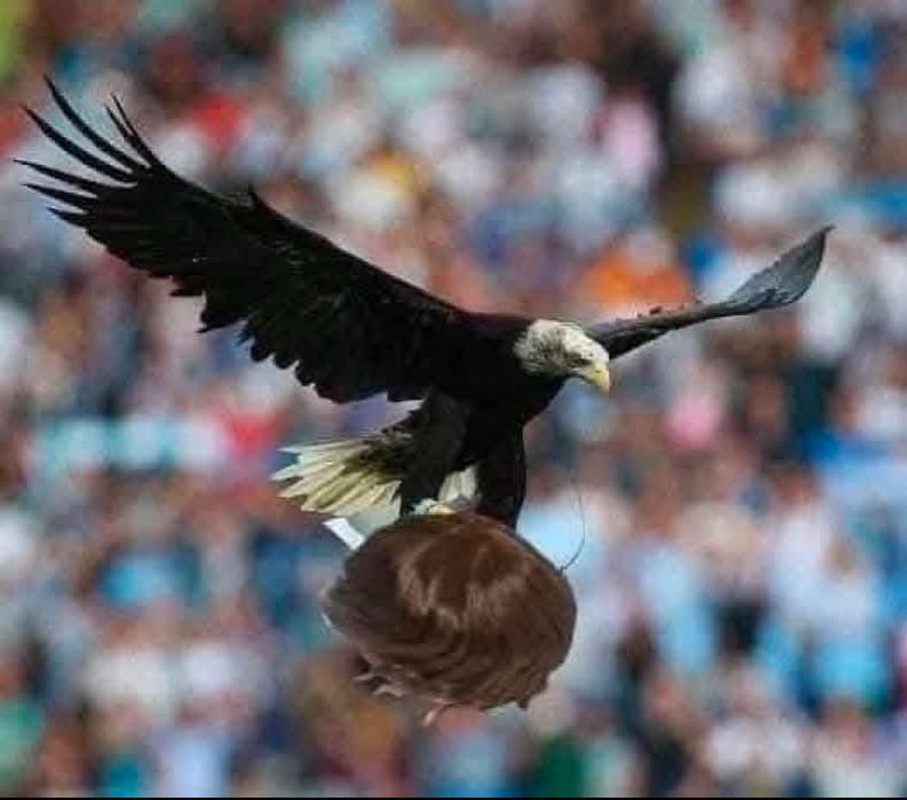 1aa45643665654655747666666666666 — Postimages