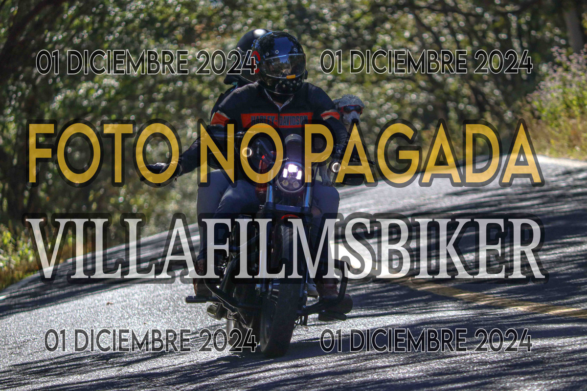 CA 272 — Postimages