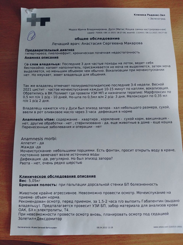 photo5368593547181275582 — Postimages