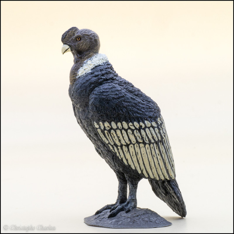 Papo 50293 Andean Condor: a walkaround by Kikimalou