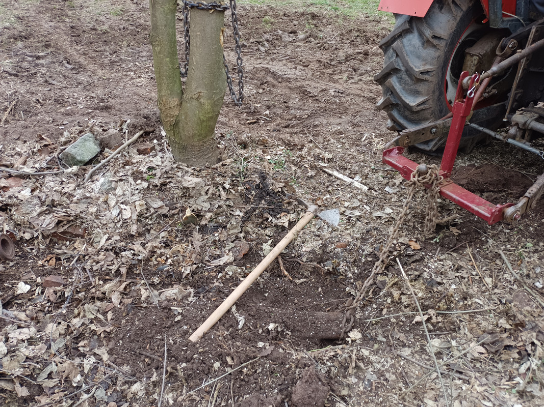 IMG 20240314 160056 — Postimages