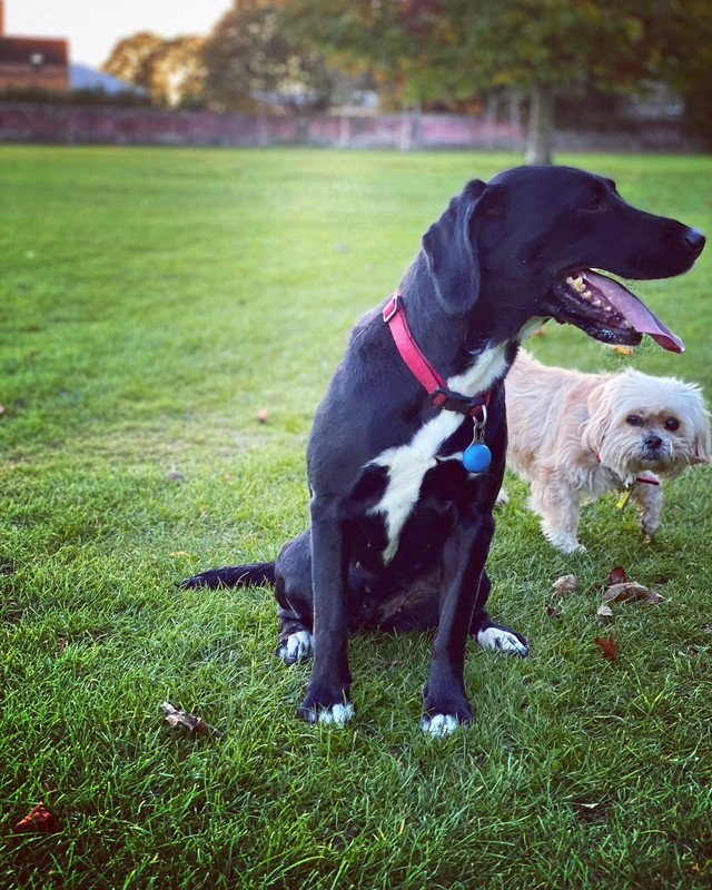 ED0960 E6 9 FFE 457 E 8761 5 A6 C6 C9 AE403 — Postimages