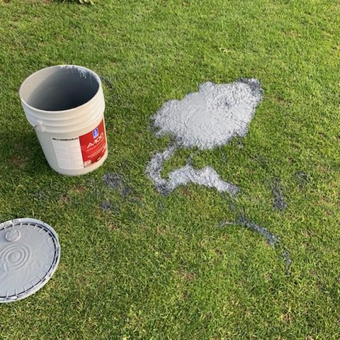 Gray Patch in Yard | Lawn Care Forum