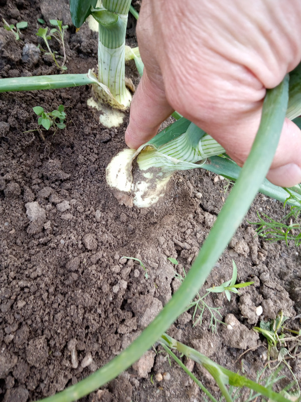 IMG 20230522 182901 863 — Postimages