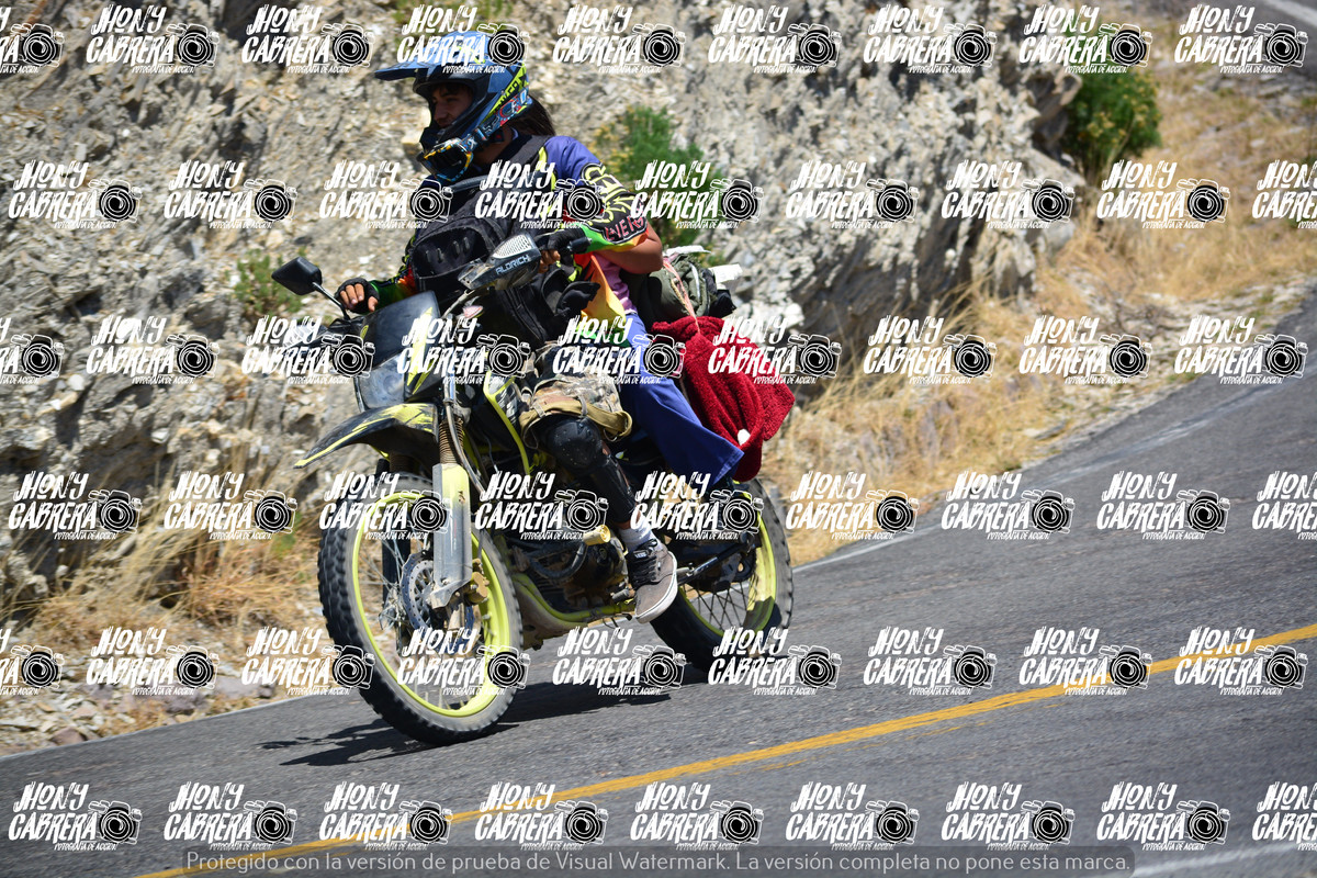 DSC 0314 — Postimages