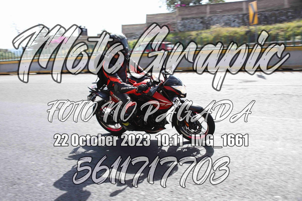 motgr IMG 1661 — Postimages