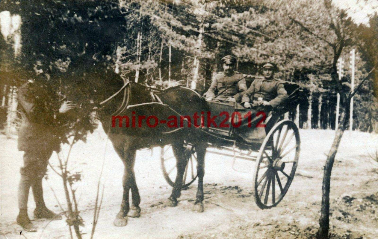 Soldaten 1916 ( W)1342 — Postimages