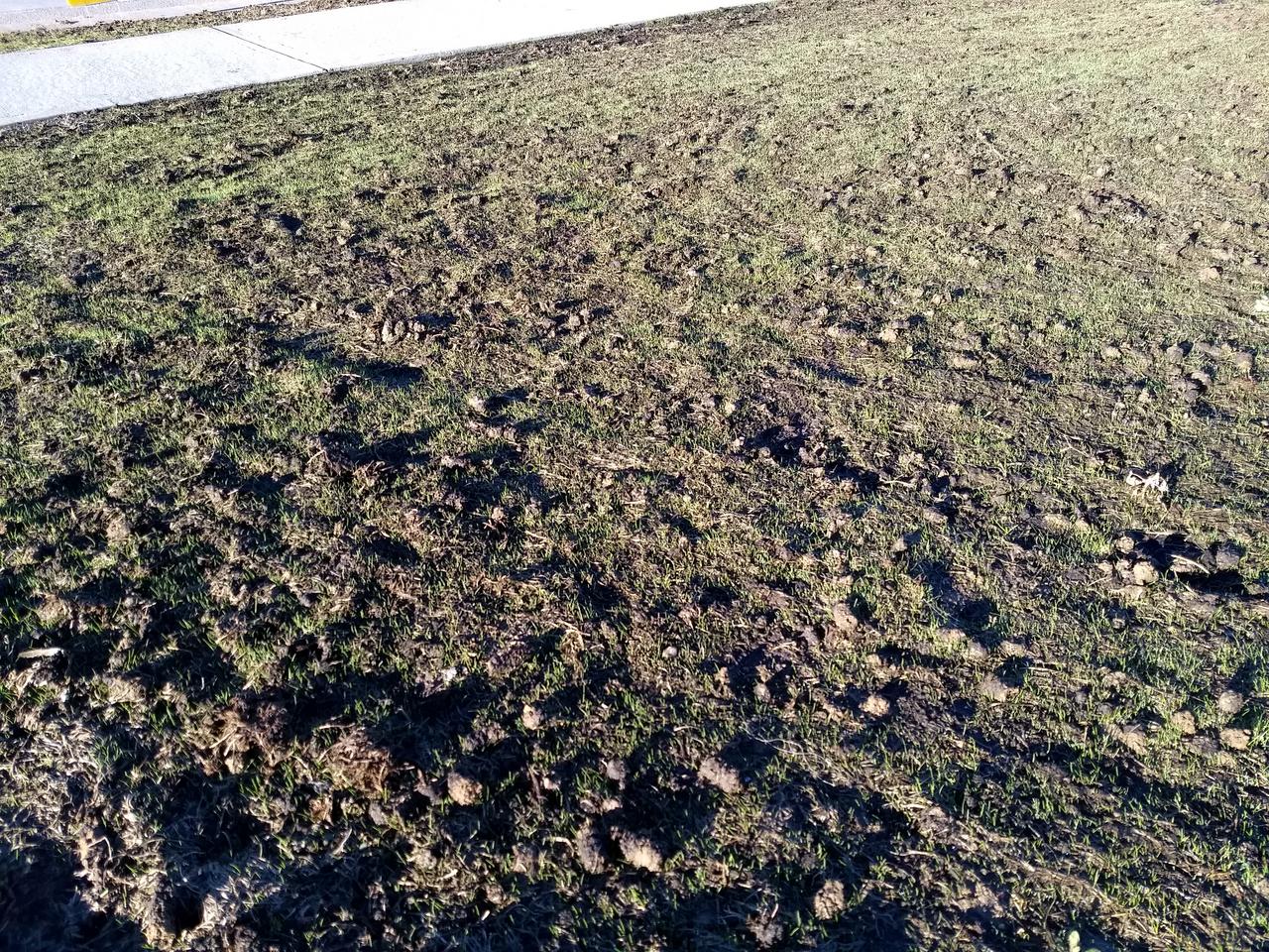 Front Yard — Postimages