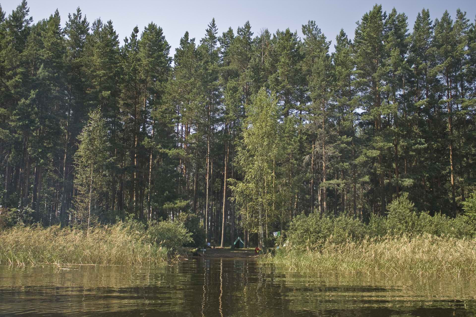 nat2 b — Postimages