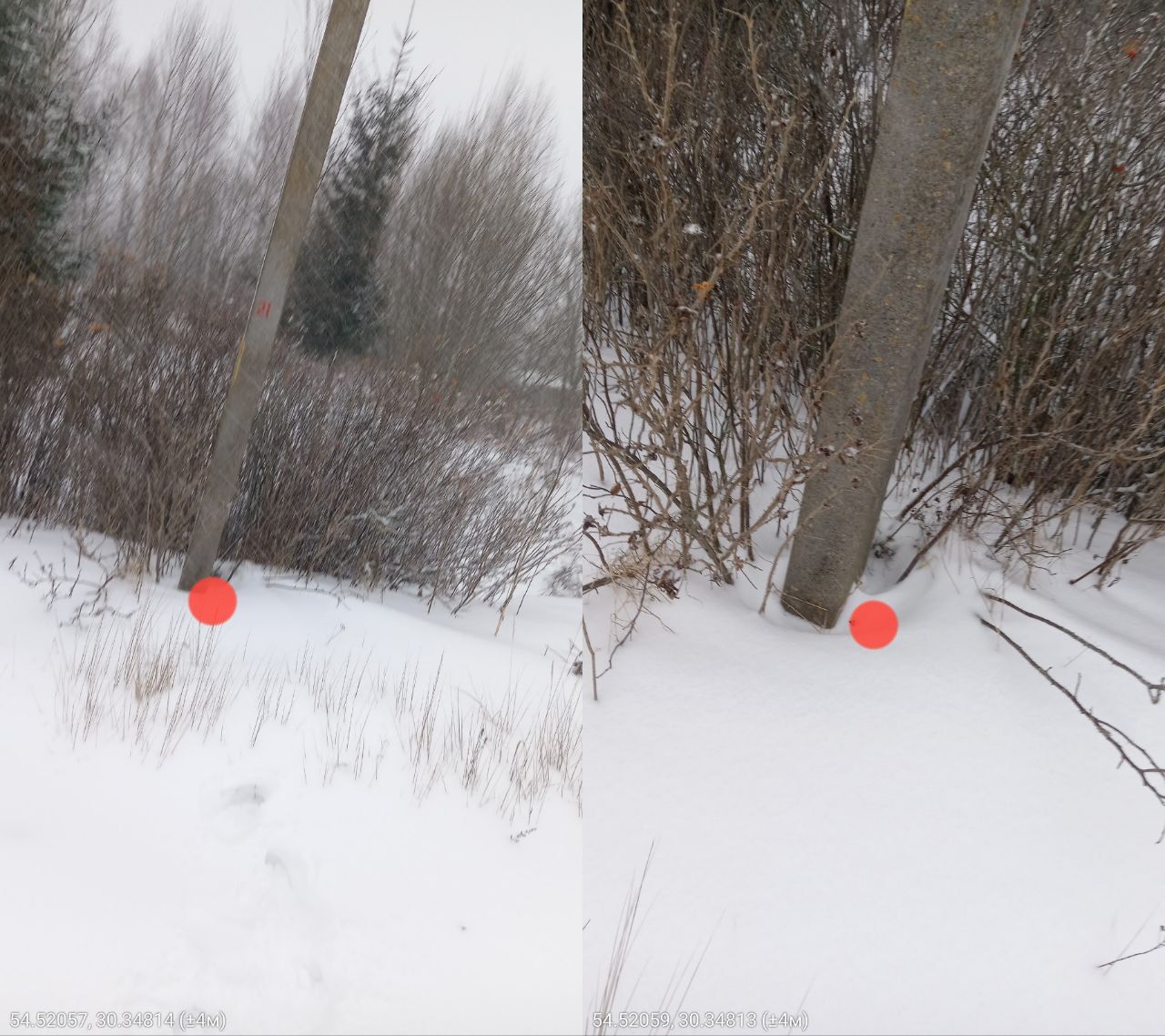 1 (40) — Postimages