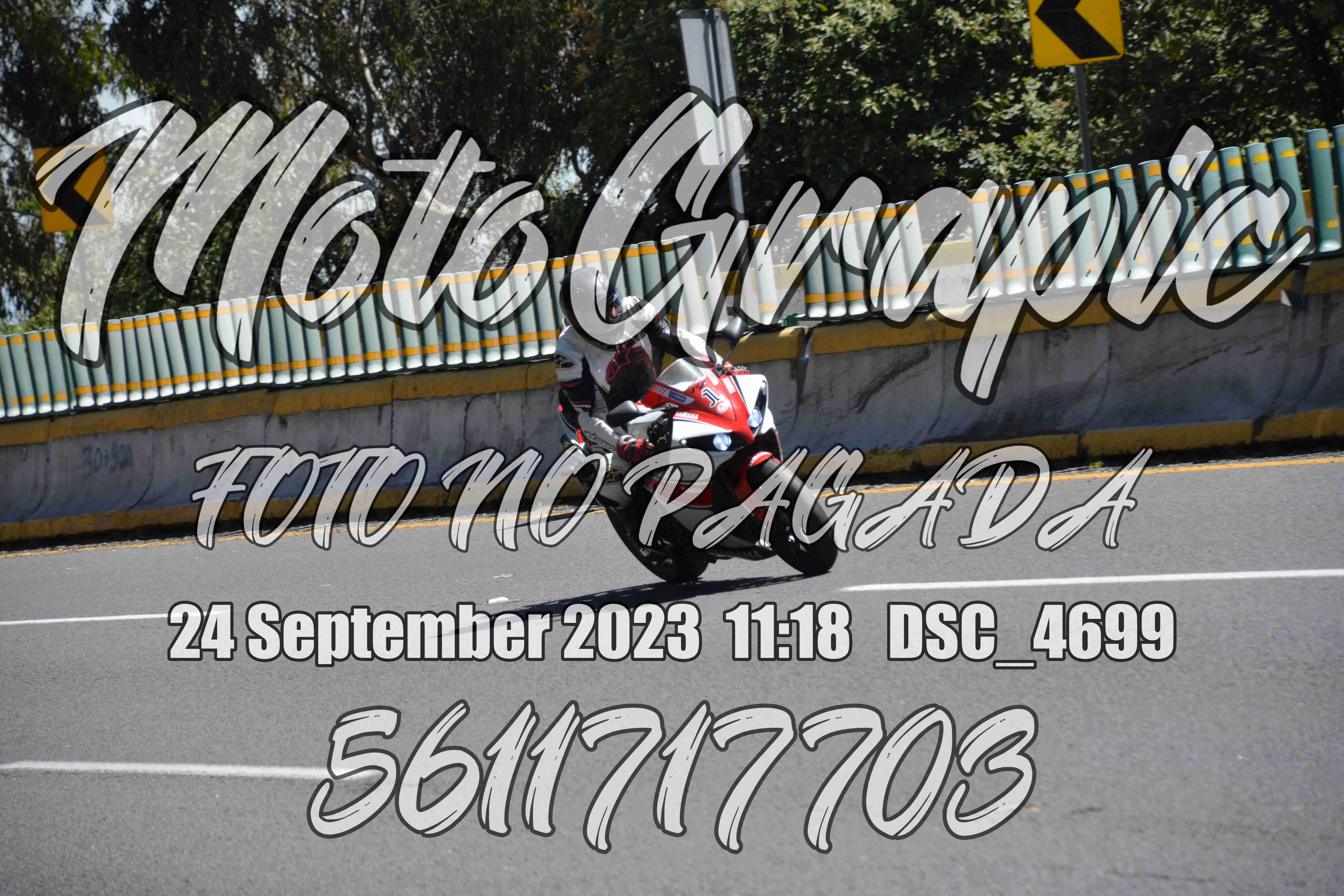 motgr DSC 4699 — Postimages