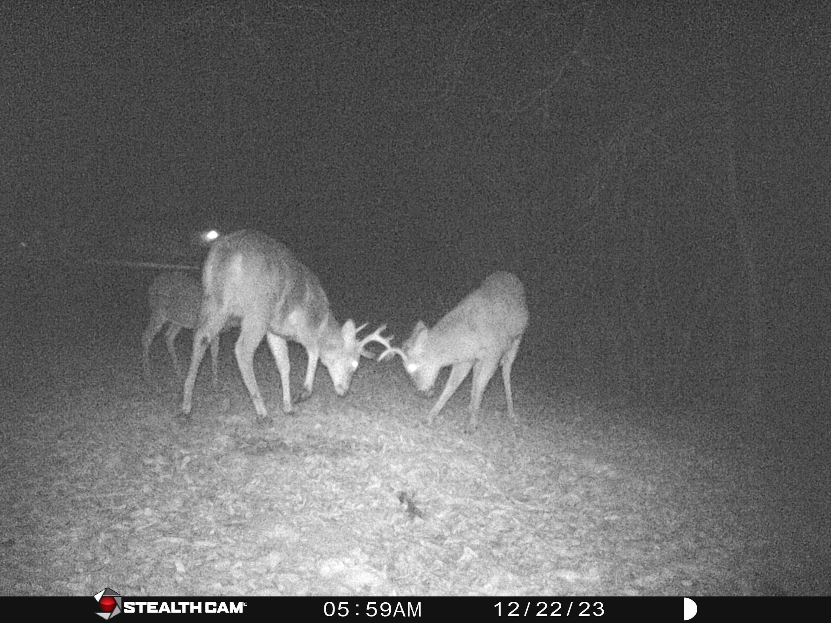 d 125 — Postimages