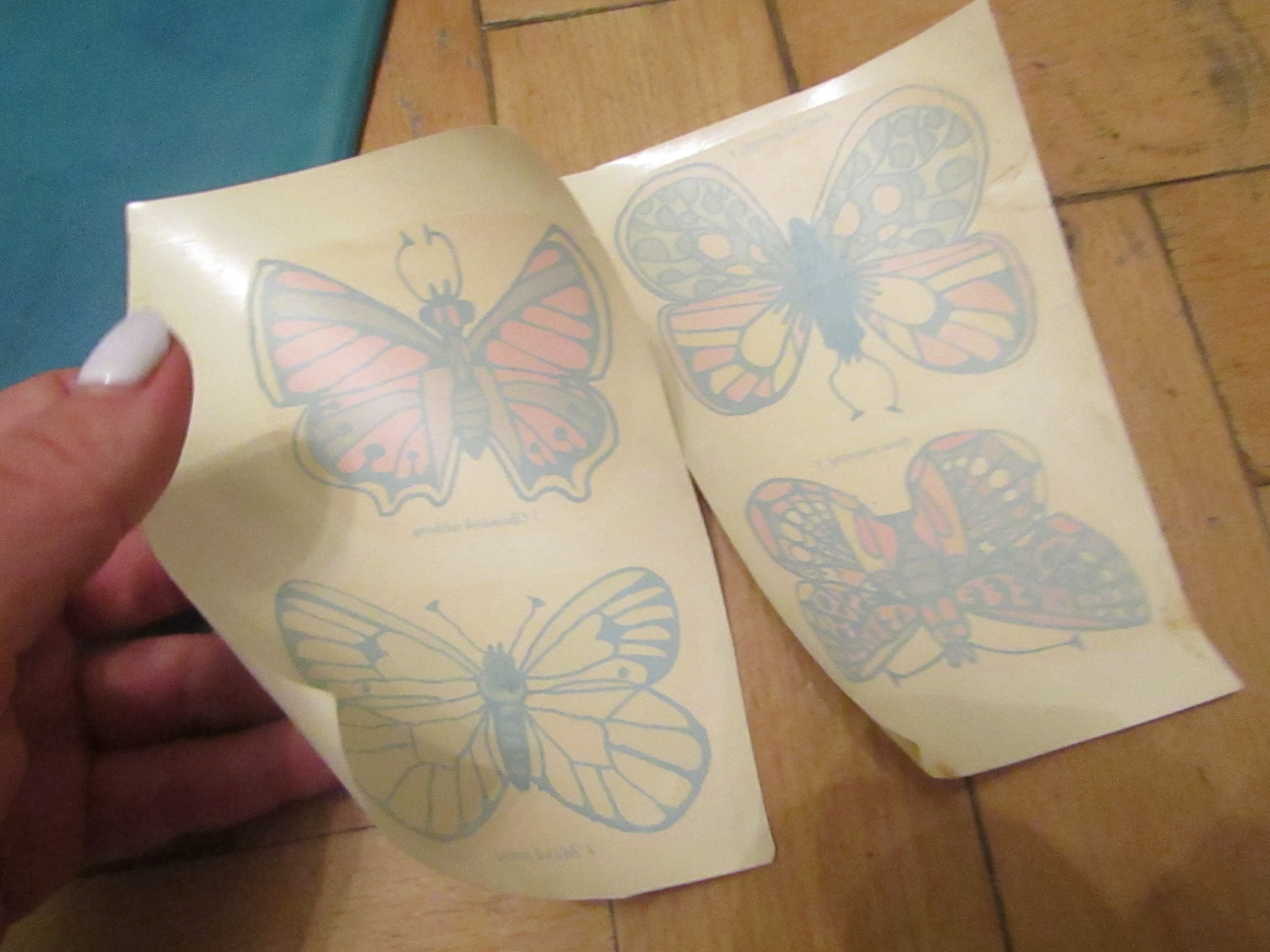 IMG 2941 — Postimages