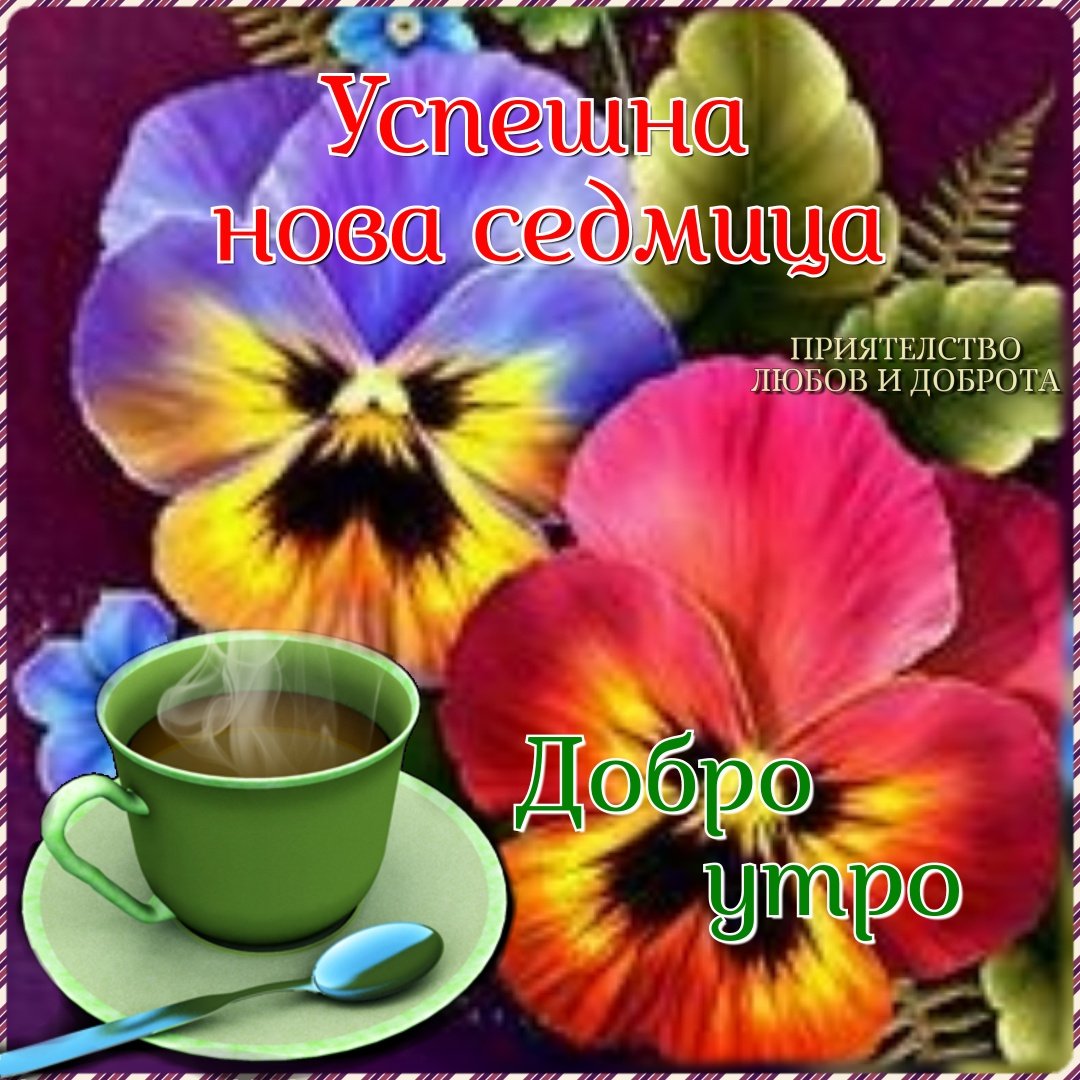 337384111 576027061147982 5522630099055765599 n — Postimages