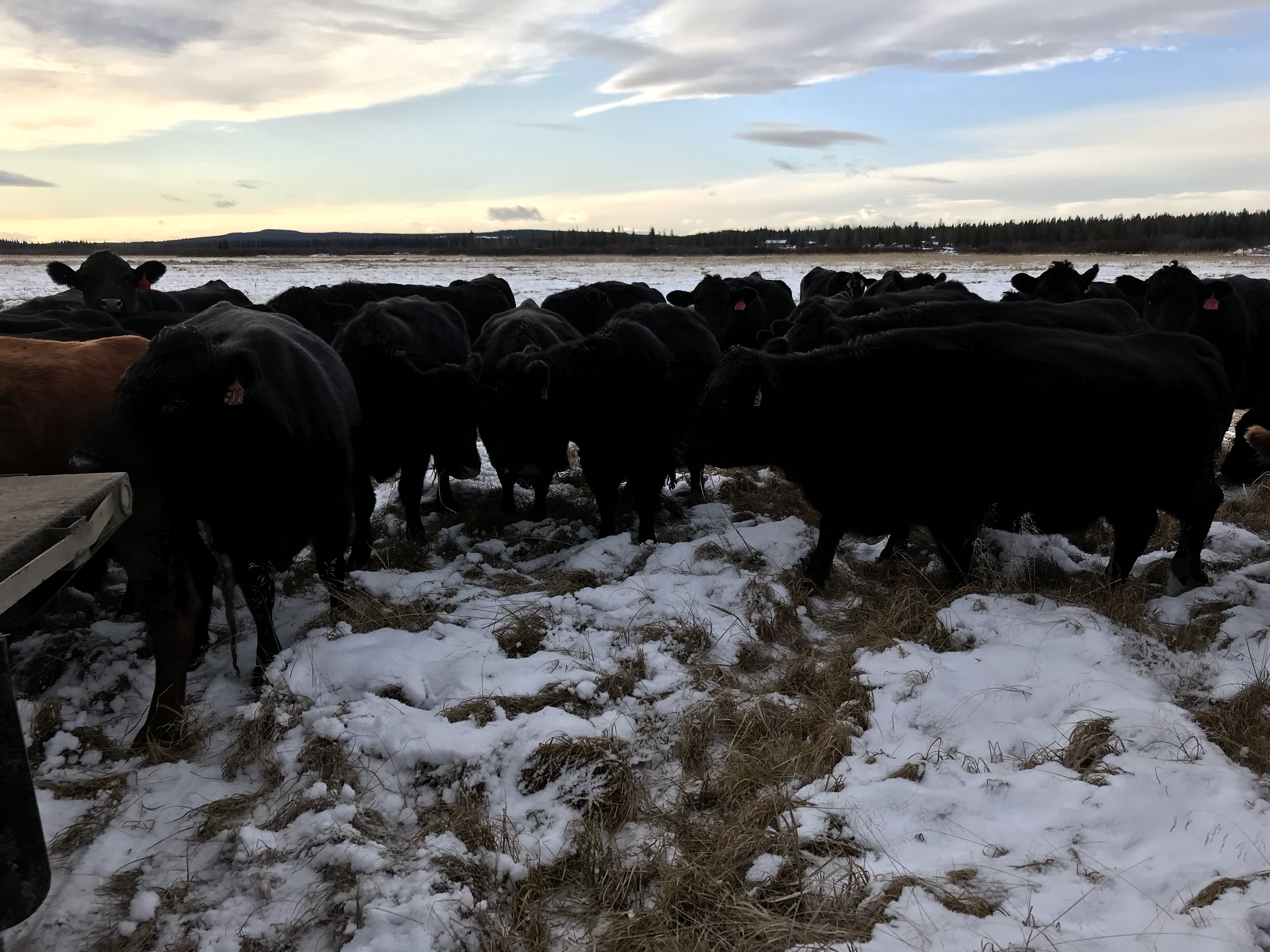 IMG 0723 — Postimages