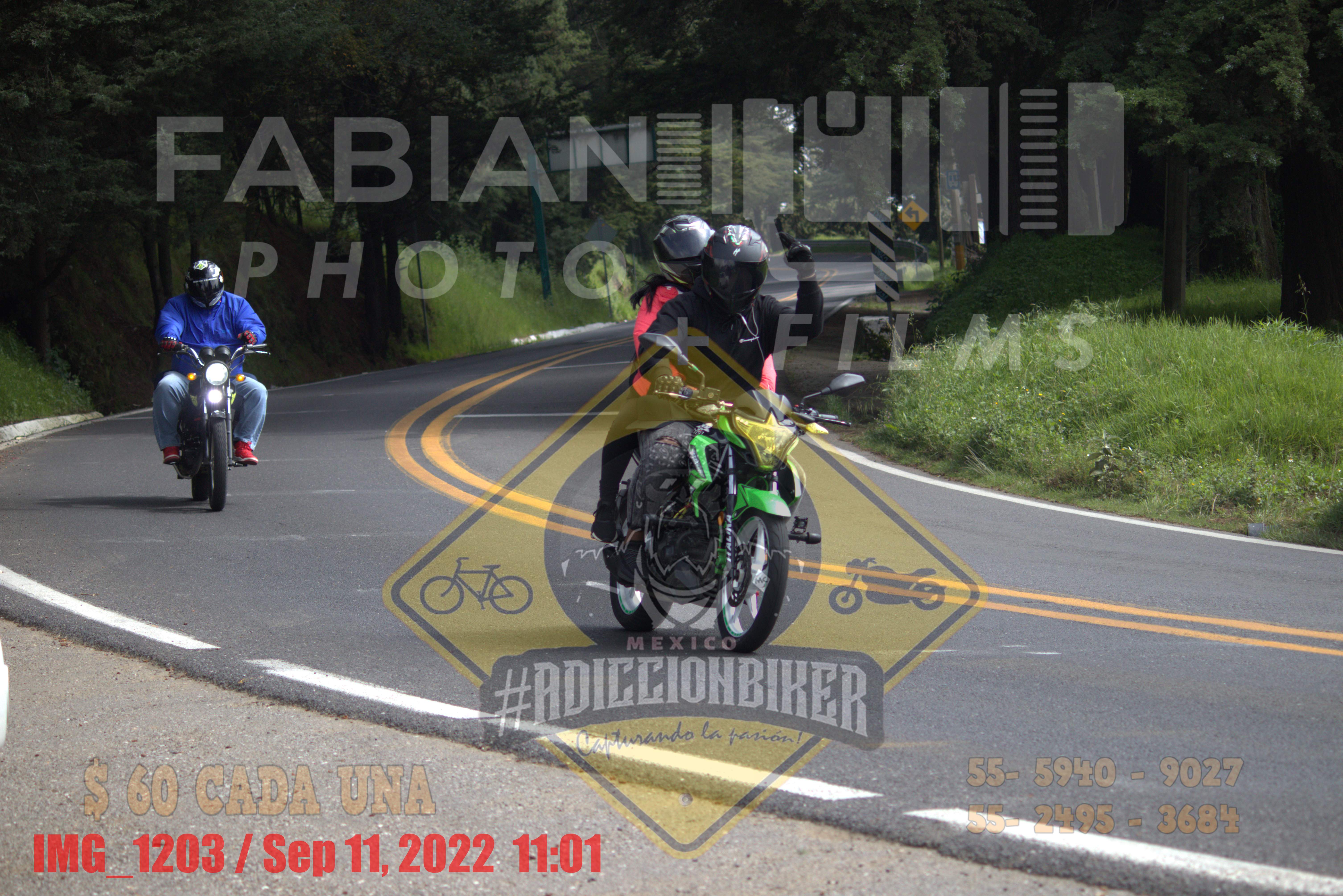 IMG 1203 — Postimages