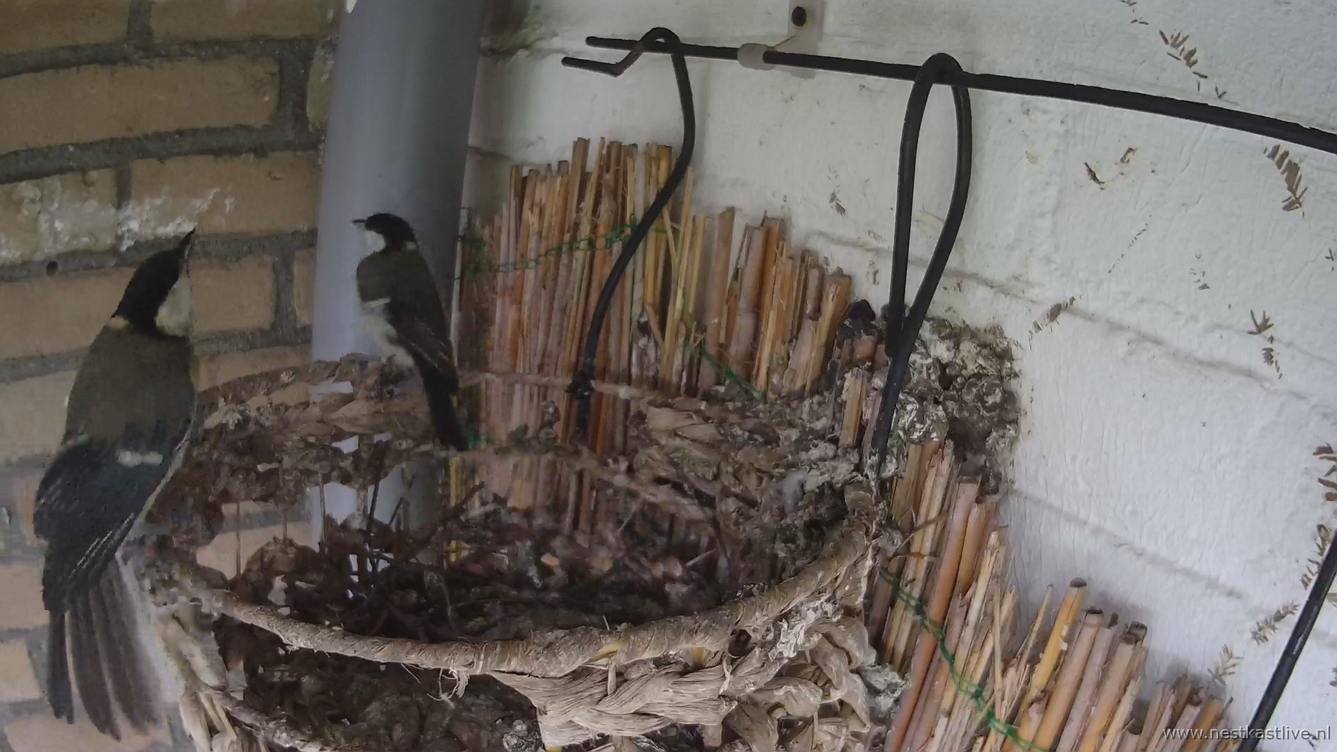 snapshot(393) — Postimages